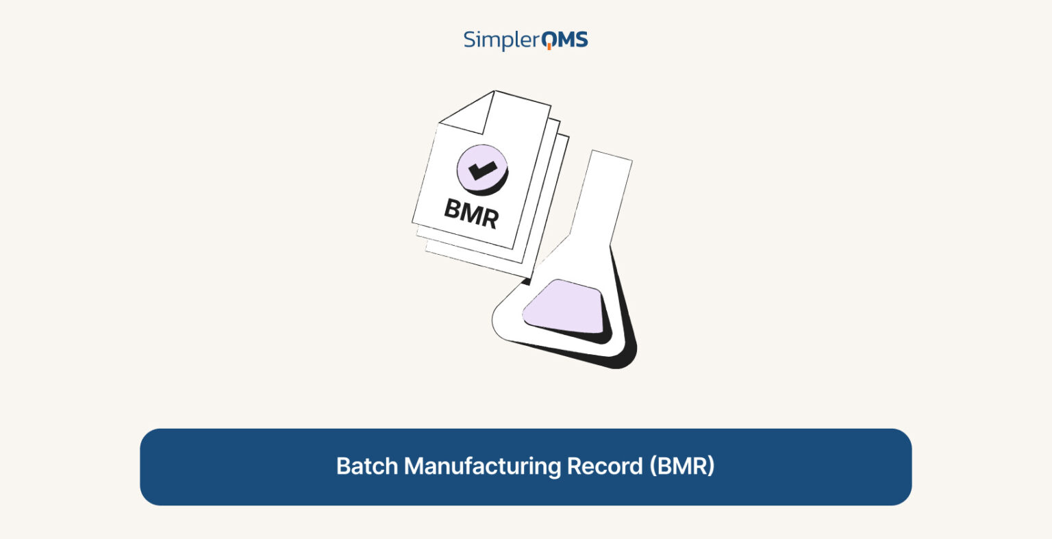 Batch Manufacturing Record (BMR): Definition, Components, Format ...